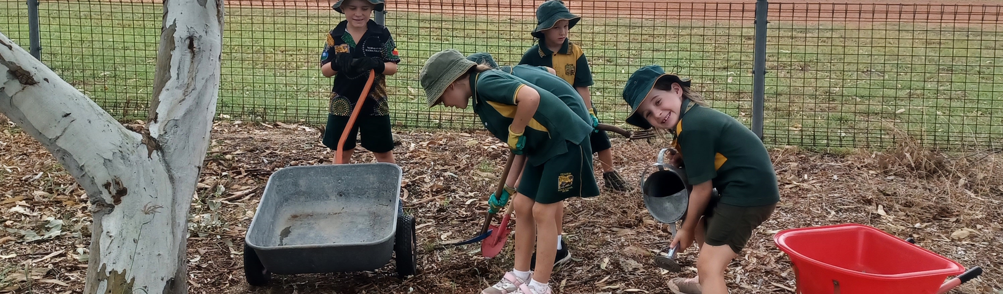 Prairie State School